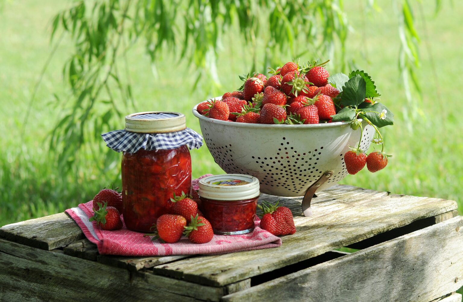 Erdbeeren pflücken am Steinboden in Taiskirchen – Das Erlebnis für die ...